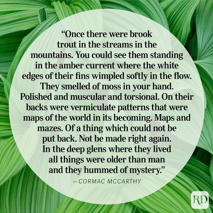 55 Beautiful Nature Quotes that Sing Mother Earth’s Praises