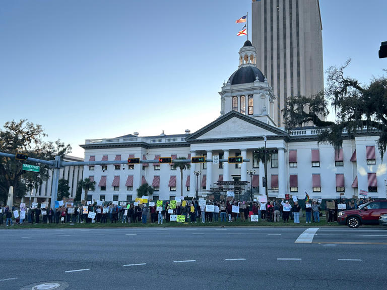 Protesters denounce Trump, Musk in ‘No Kings on President’s Day ...