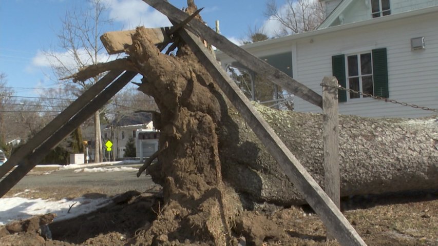 Wind leads to massive amounts of power outages across Connecticut