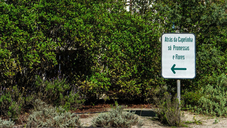 Doa Fatima Katolik: Sejarah, Makna, dan Cara Mengamalkan