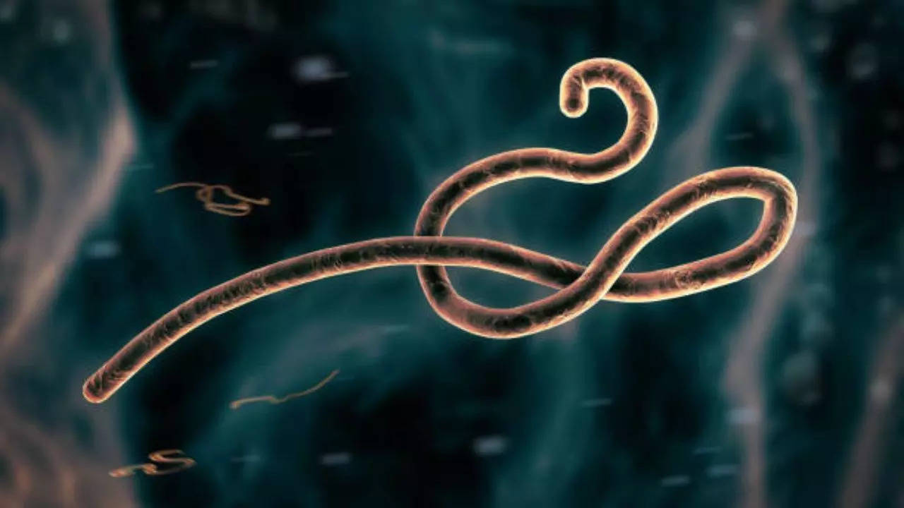 Woman's Severe Burning Sensation in Feet Diagnosed As Parasitic Worms ...