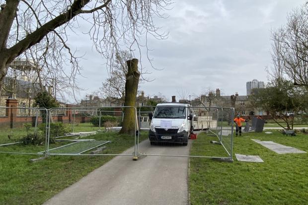 Work begins to carve 'Swindon pioneer' into town park tree