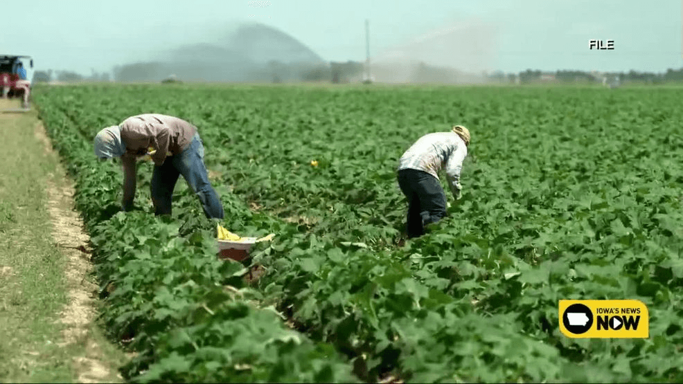 Experts warn a decline in immigration could impact Iowa's economic growth