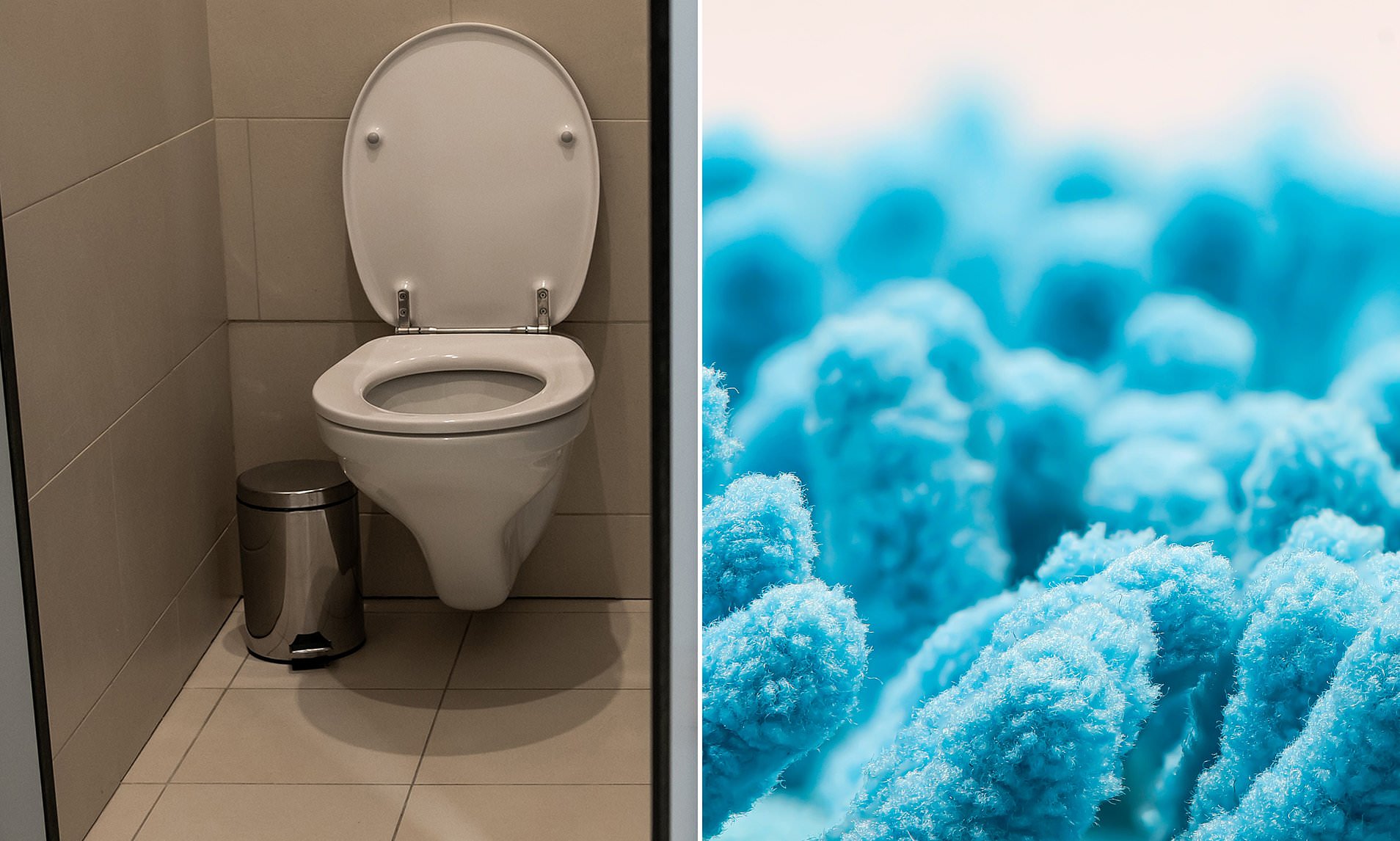 How you could be breathing in harmful airborne bacteria in the toilet