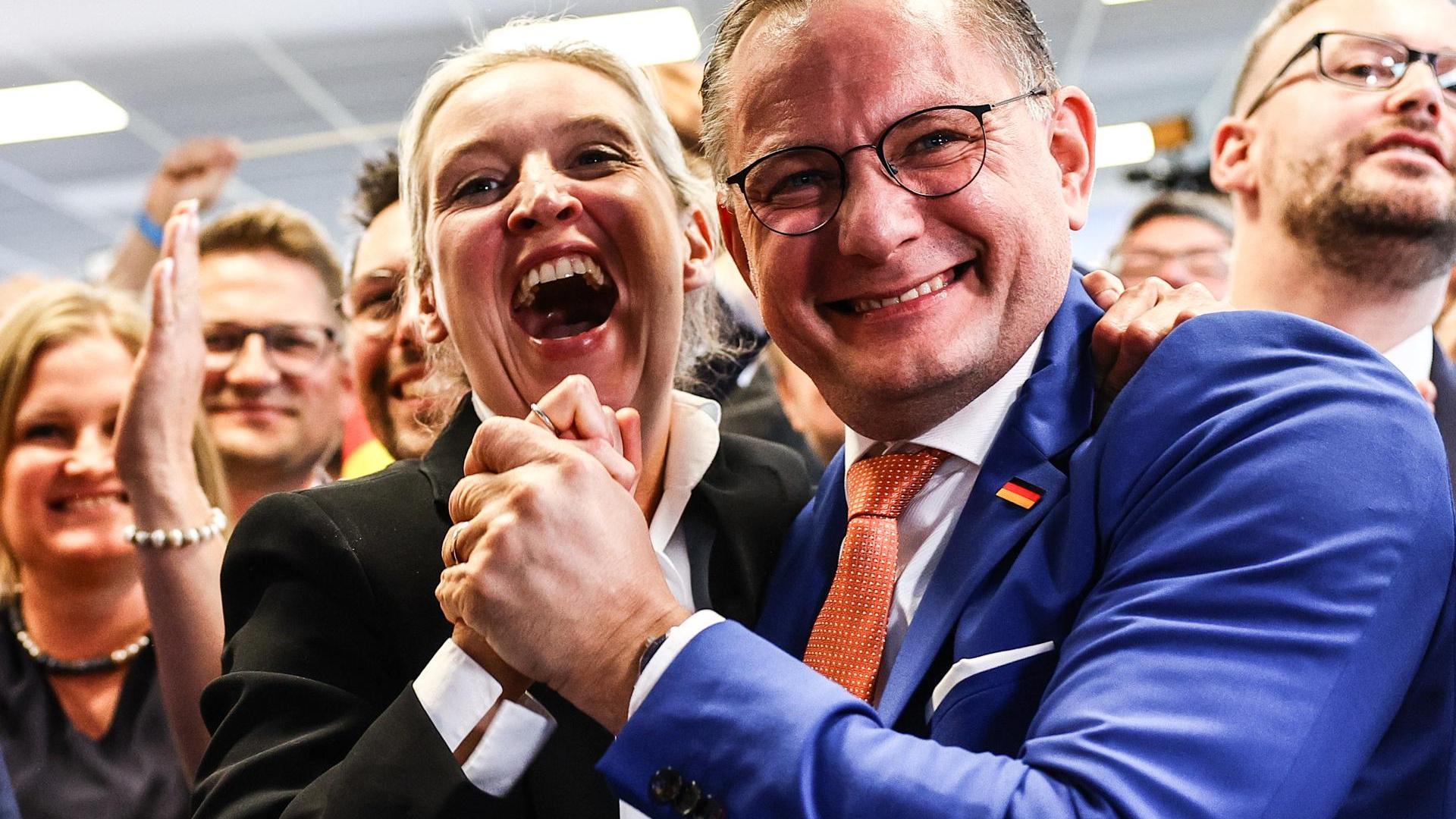 Remigración, cierre de fronteras, salida del euro, mili obligatoria ...