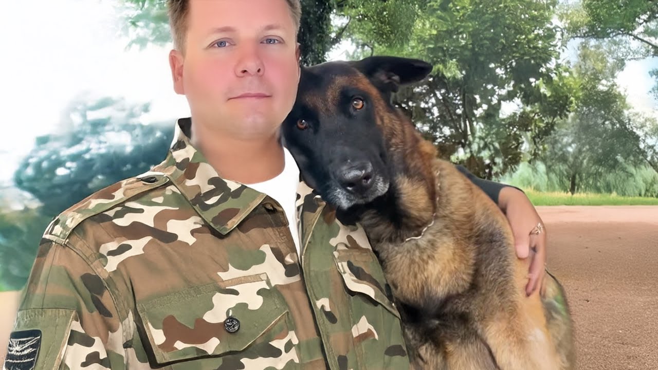 When Your DOG’s Love for You Is Too Big to Hide! ️🐶