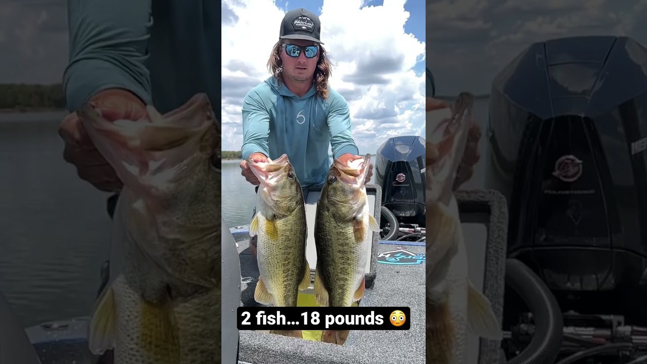 When you pulll up the weigh in with giant fish