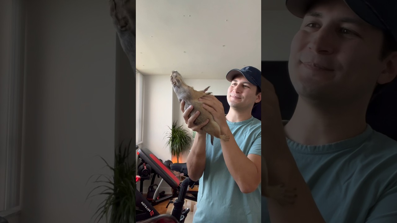 Prairie dog wahoo caught in a surprising moment