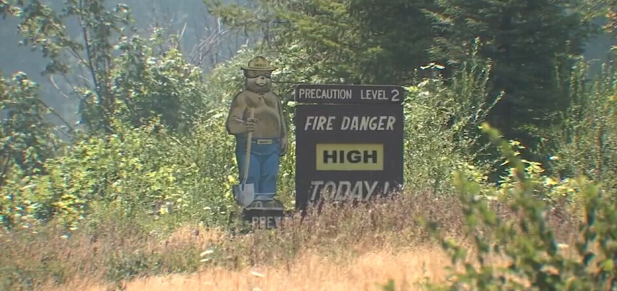 ‘Slap in the face’: Oregon, Washington Forest Service employees speak ...