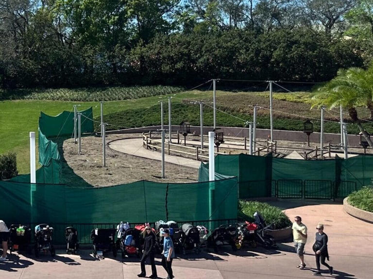 Construction Continues on Butterfly Landing and New Playground in ...