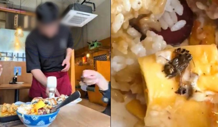 [Watch] Restaurant Owner Apologizes For Serving Sushi With A Dead Fly