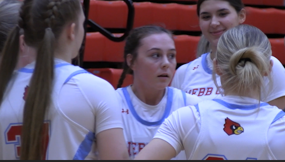 Webb City girls hoops takes down Parkview 68-25 at home