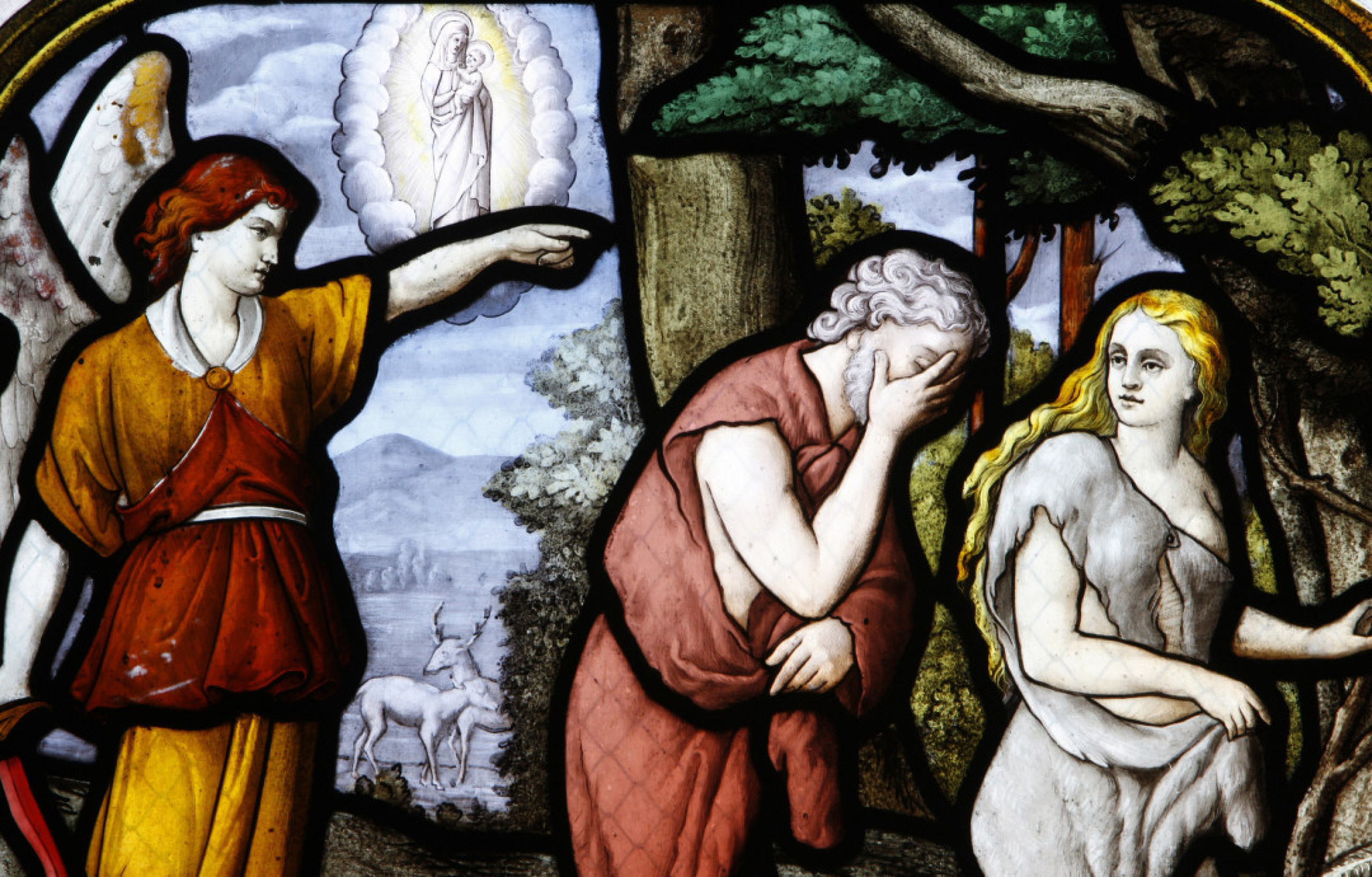 How does the Bible explain suffering?