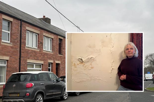 County Durham homes left damp and mouldy years after free insulation ...