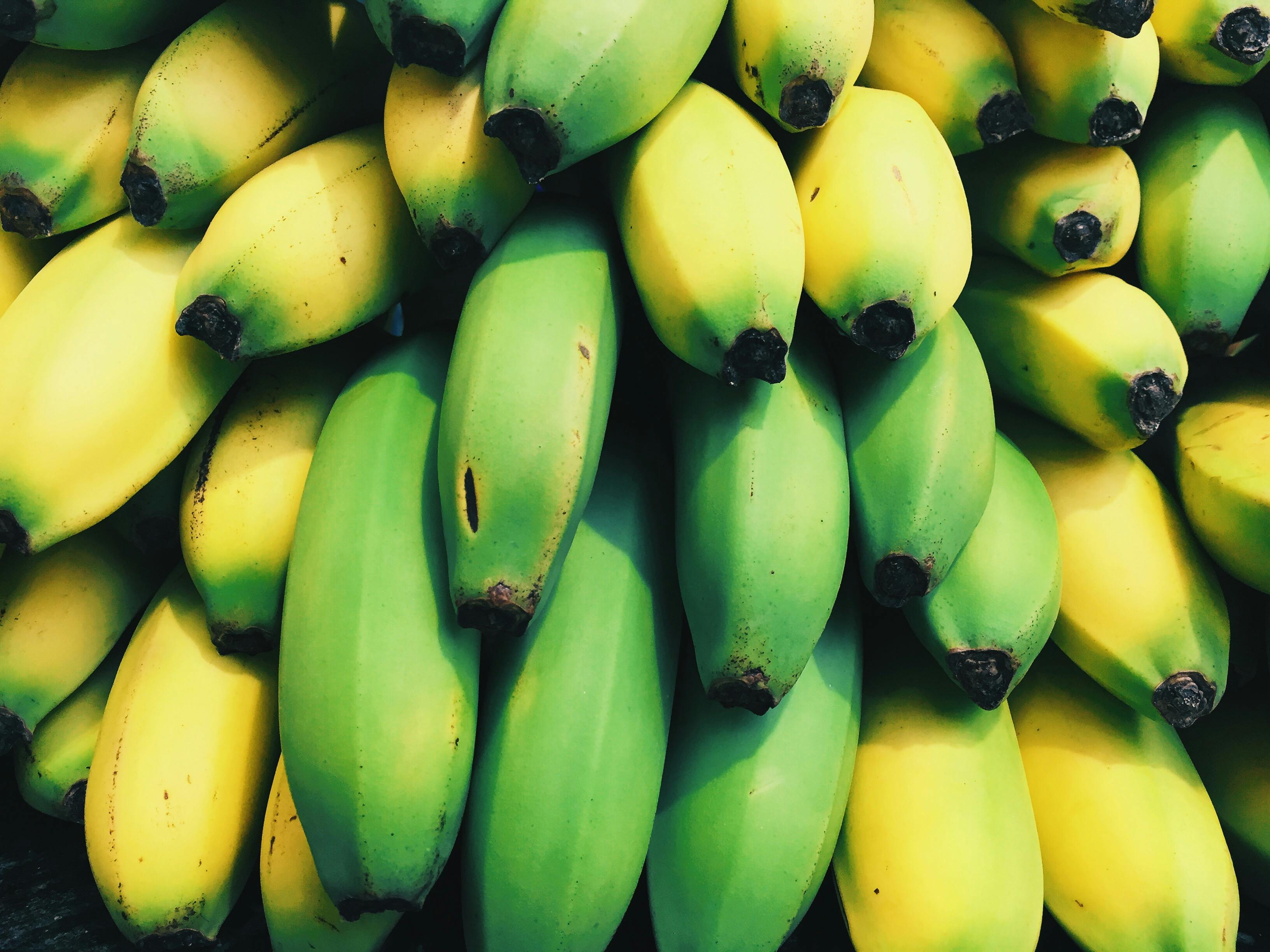 5 amazing health benefits of making bananas a daily habit