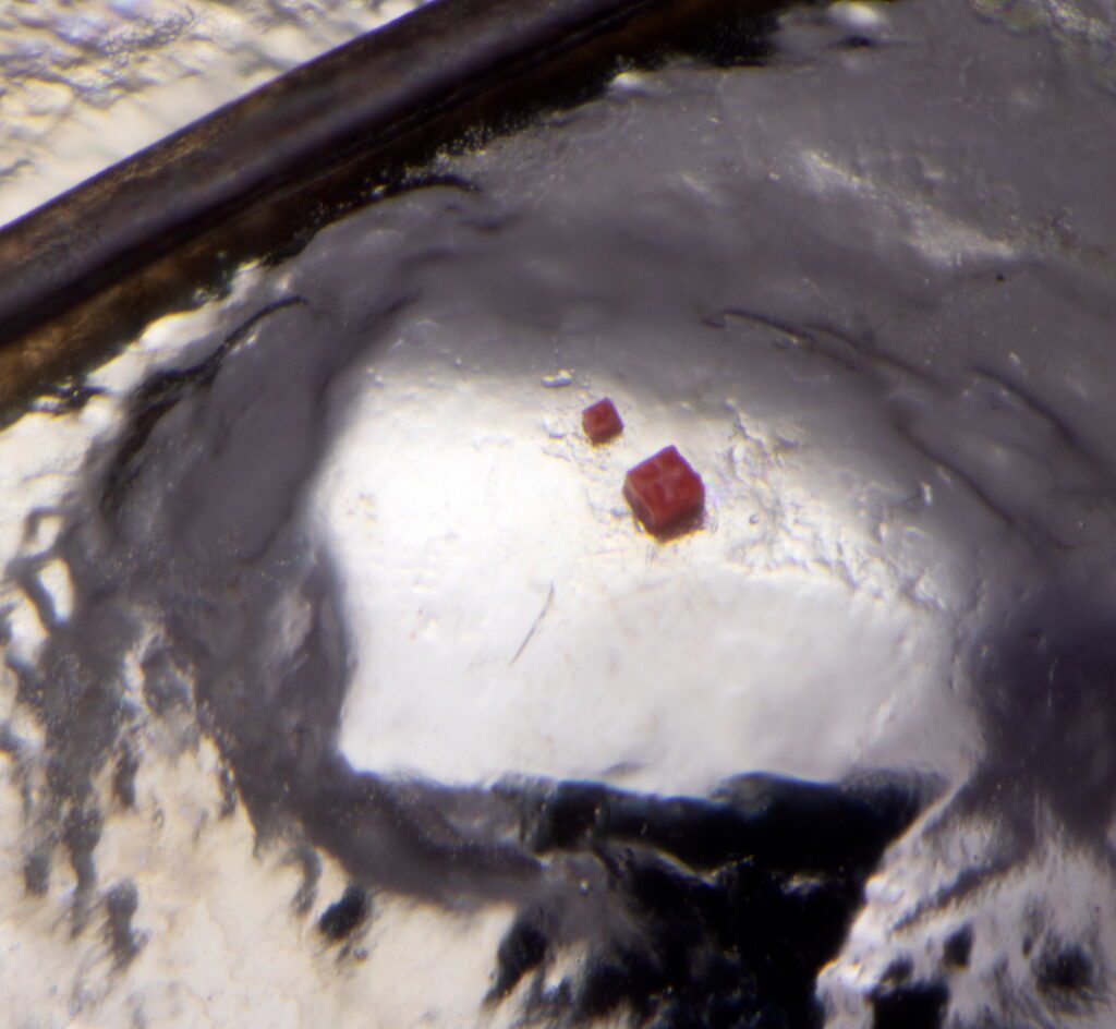 World record smallest sculpture – Lego brick size of white blood cell