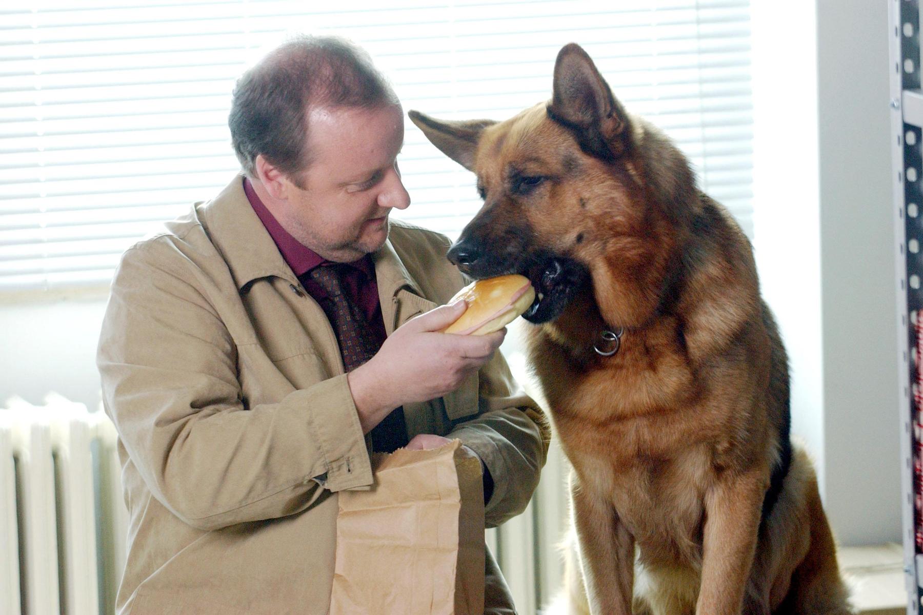 TV-Comeback: „Kommissar Rex“ ermittelt 2025 wieder in Wien