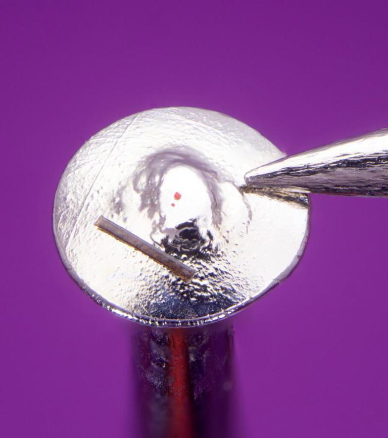 World record smallest sculpture – Lego brick size of white blood cell