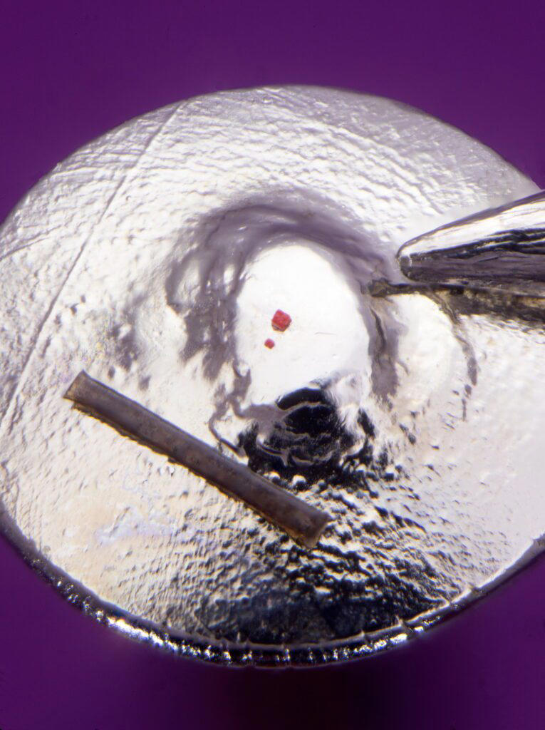 World record smallest sculpture – Lego brick size of white blood cell