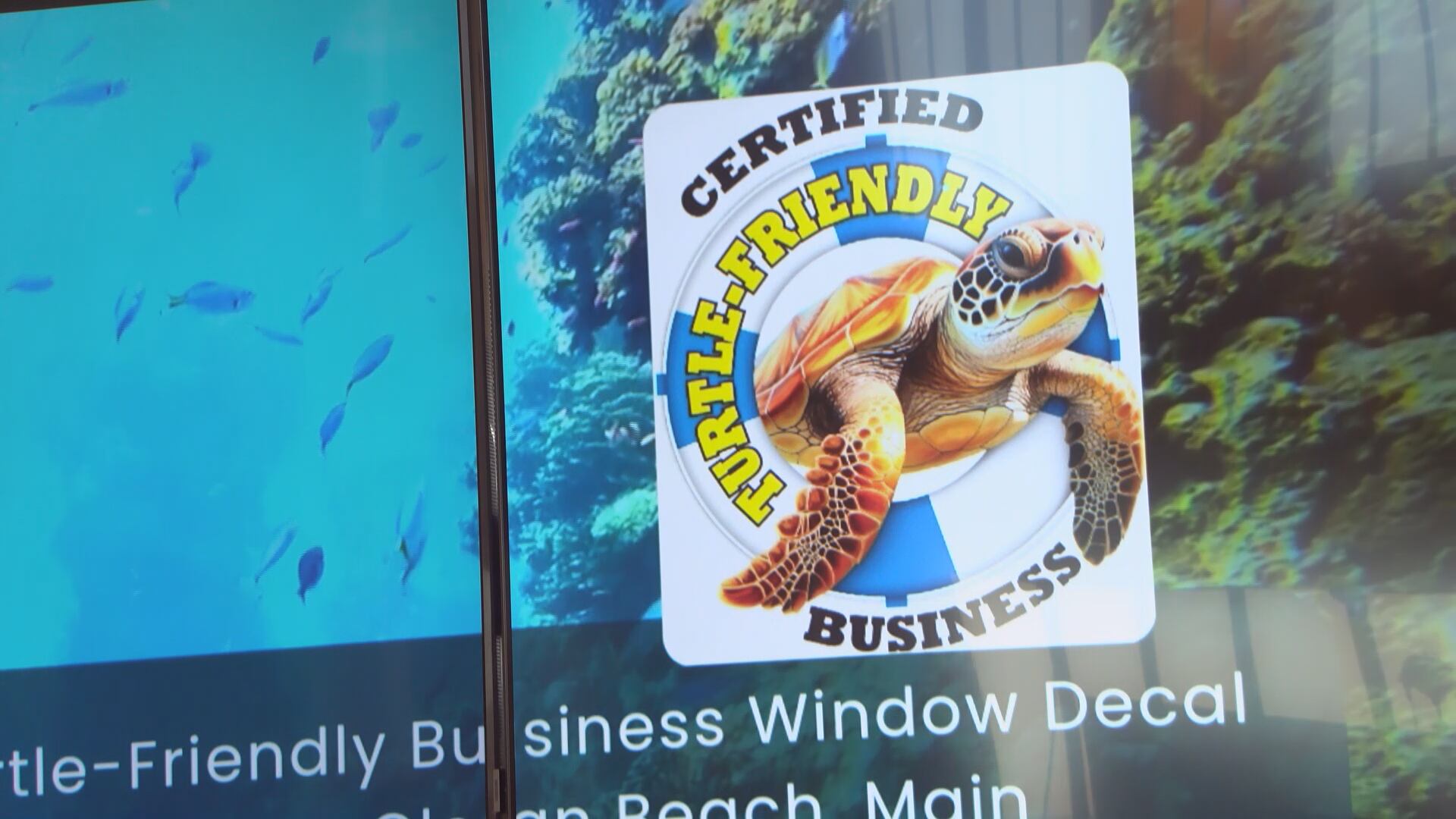 Tybee Island to expand turtle-friendly restaurant program