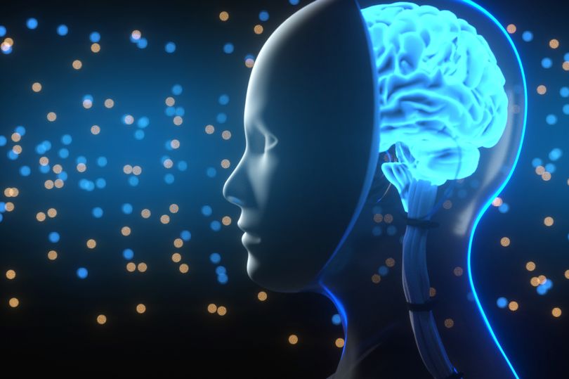 AI 'brain decoder' that read someone's mind 'without training' dubbed ...