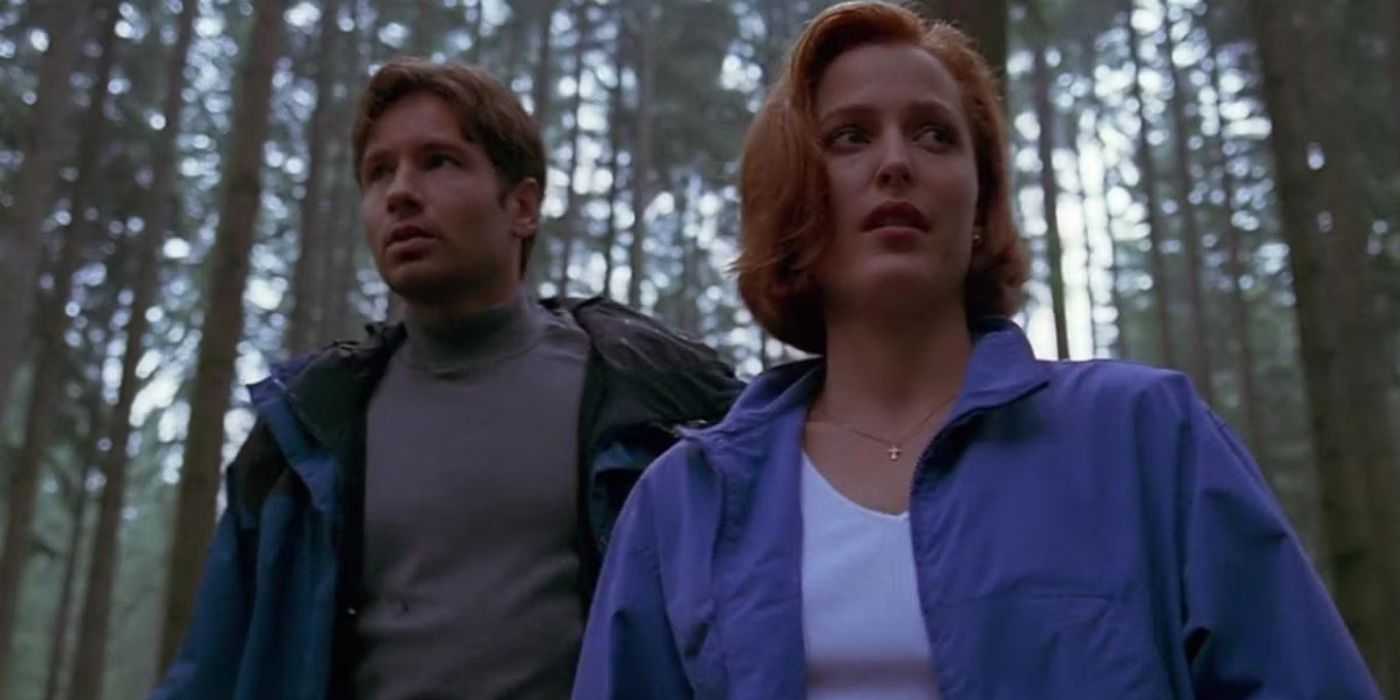 32 Years Later, I Still Can't Believe The X-Files Kept Up This 218 ...