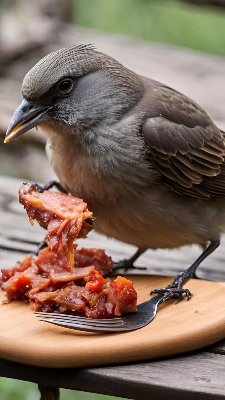 10 birds that eat meat and other animals