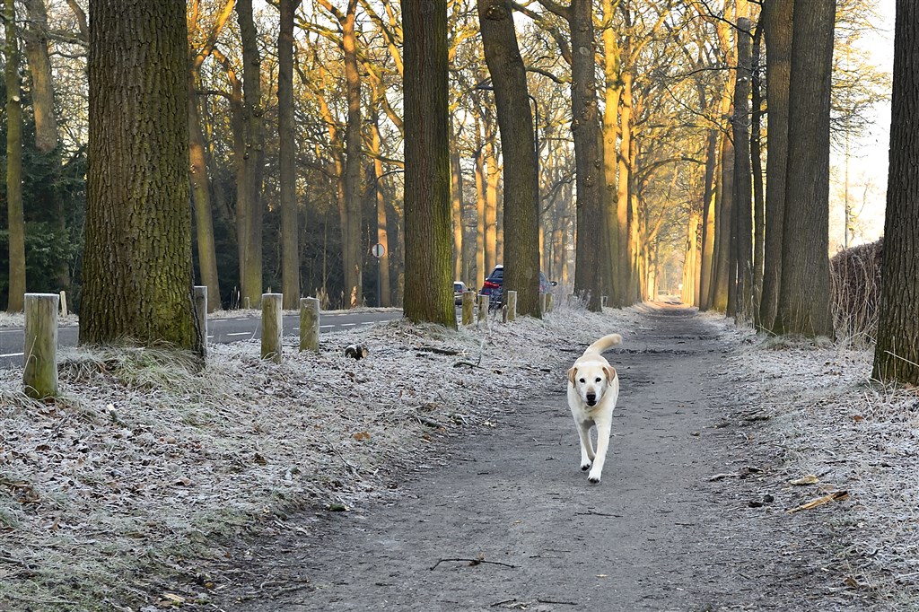 25 graden verschil: van -7 vannacht naar plus 18 op vrijdag