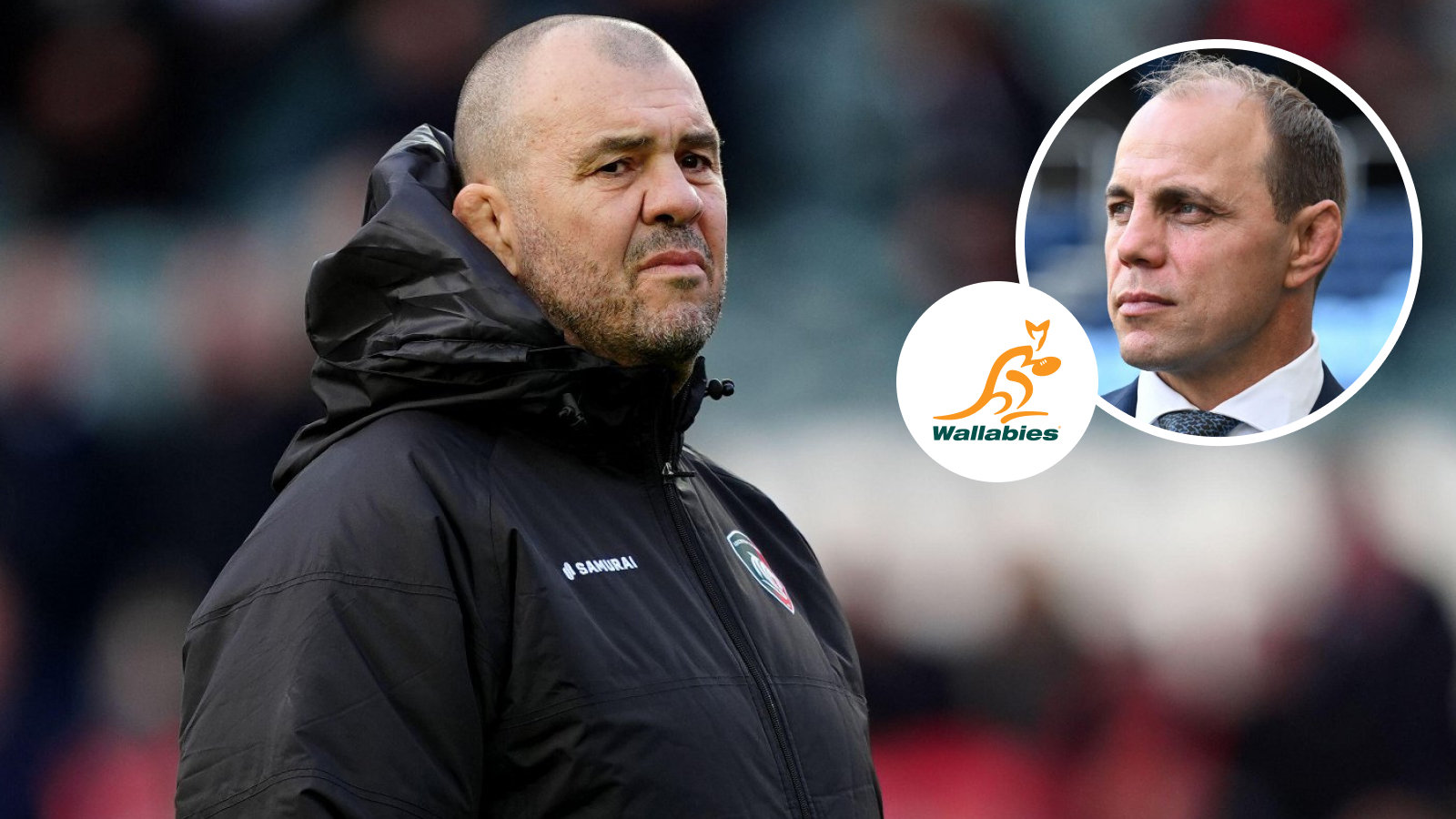 Joe Schmidt’s successor hunt heats up as ex-Wallabies boss spotted ...