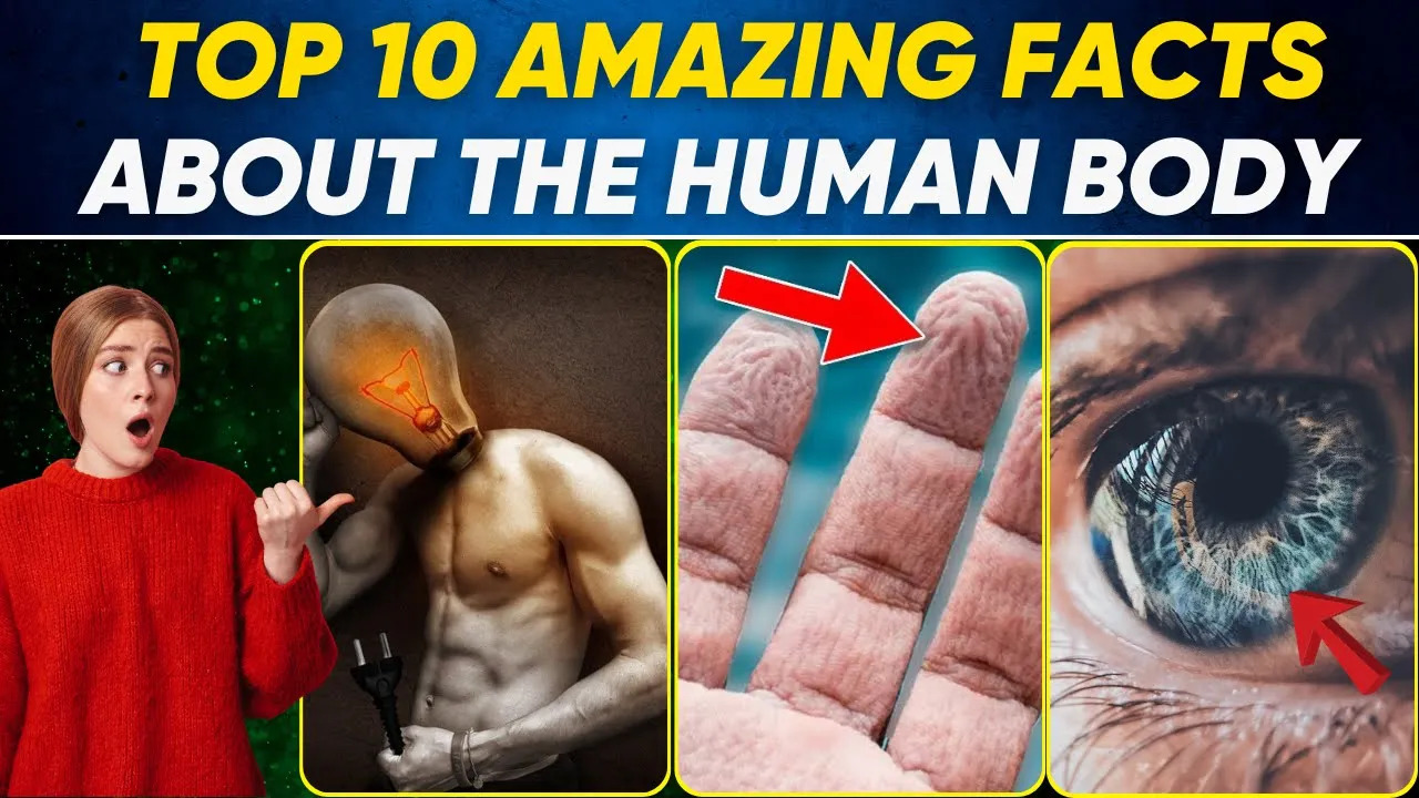You Never Knew This :: Top 10 Amazing Facts About the Human Body