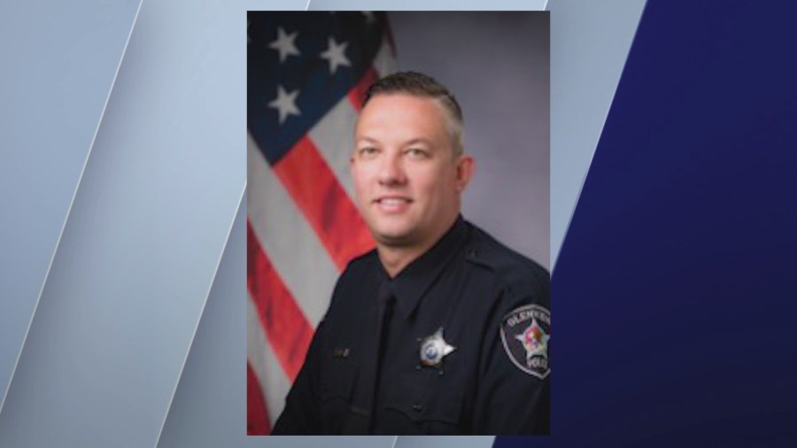 Lake County man charged in car crash that killed Glenview police ...