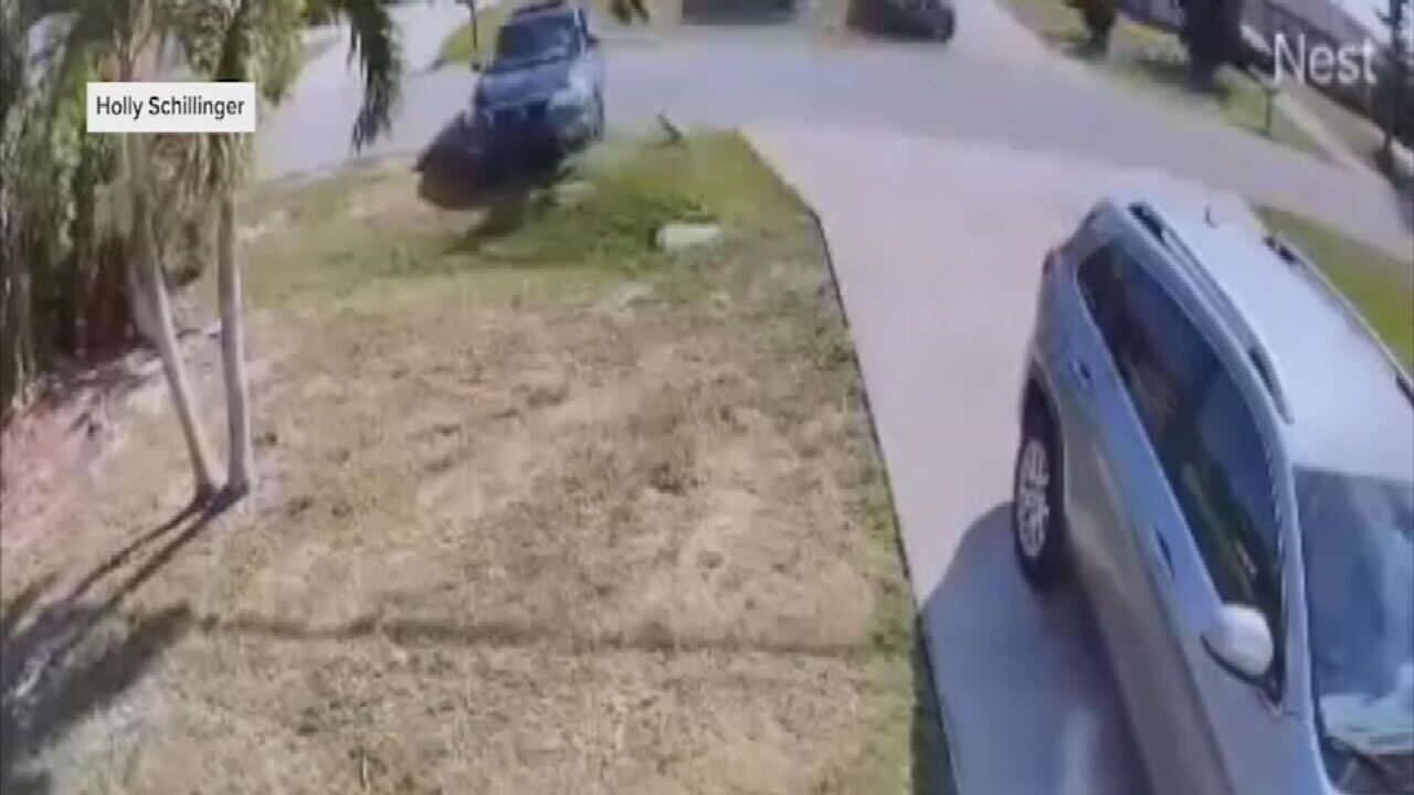 Video shows hit-and-run driver crash into mailbox inside Florida ...