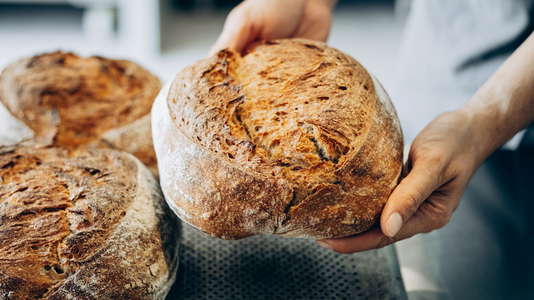 How Proofing Time Affects Your Homemade Bread