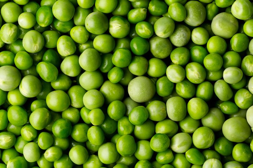 Brainteaser asks you to find cat hidden among the peas in less than 10 ...