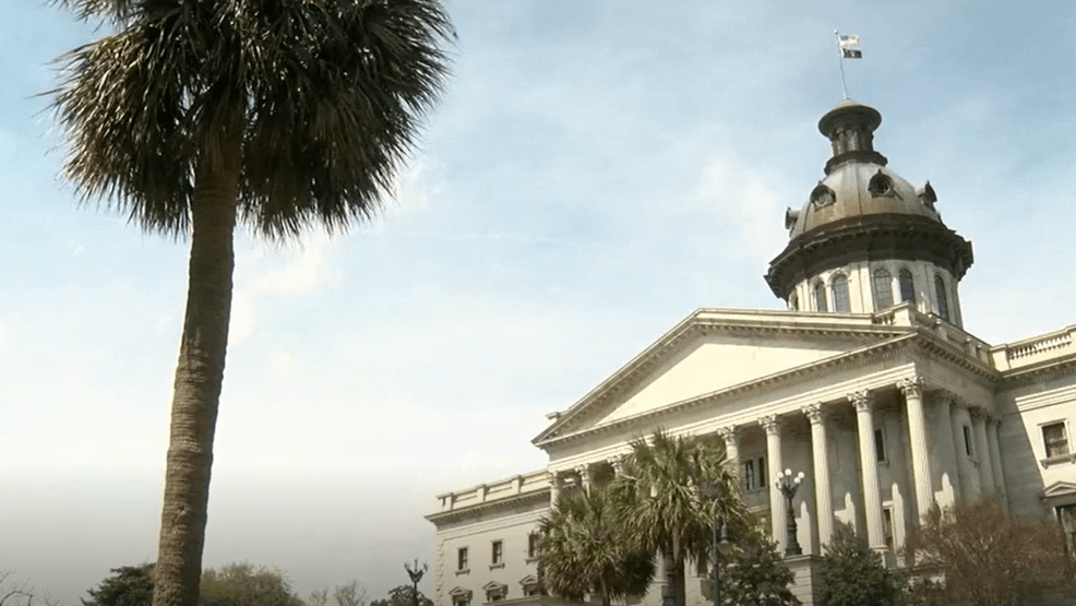 Local resident launches $2.5M DOGE SC PAC, mirroring Trump's government ...