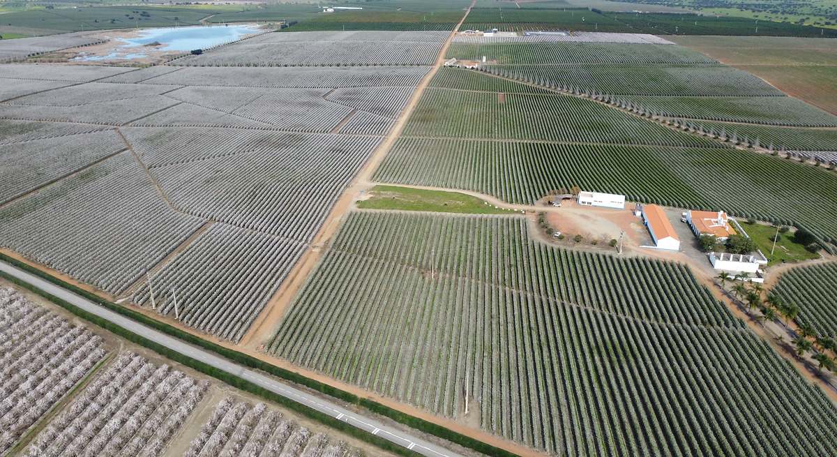 El fondo de inversión de la Iglesia mormona compra una finca de 700 ...
