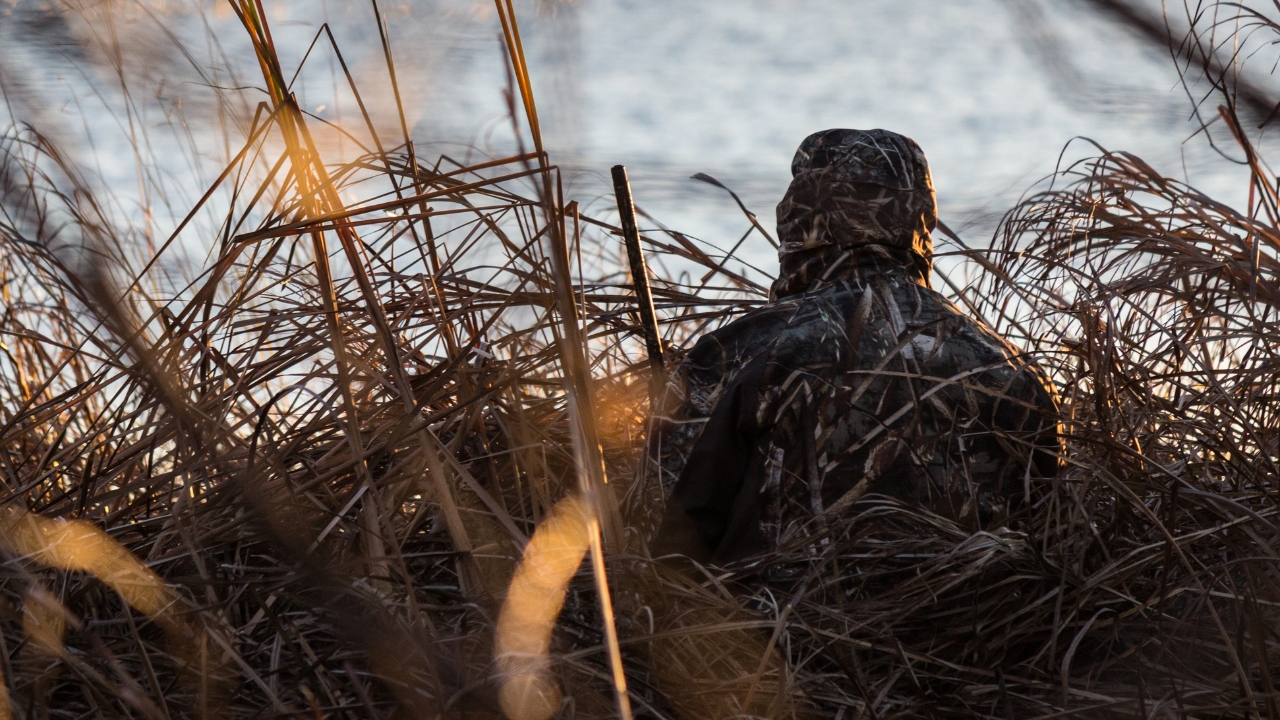 Texas duck hunters get a pintail bump—why that limit changed and what ...