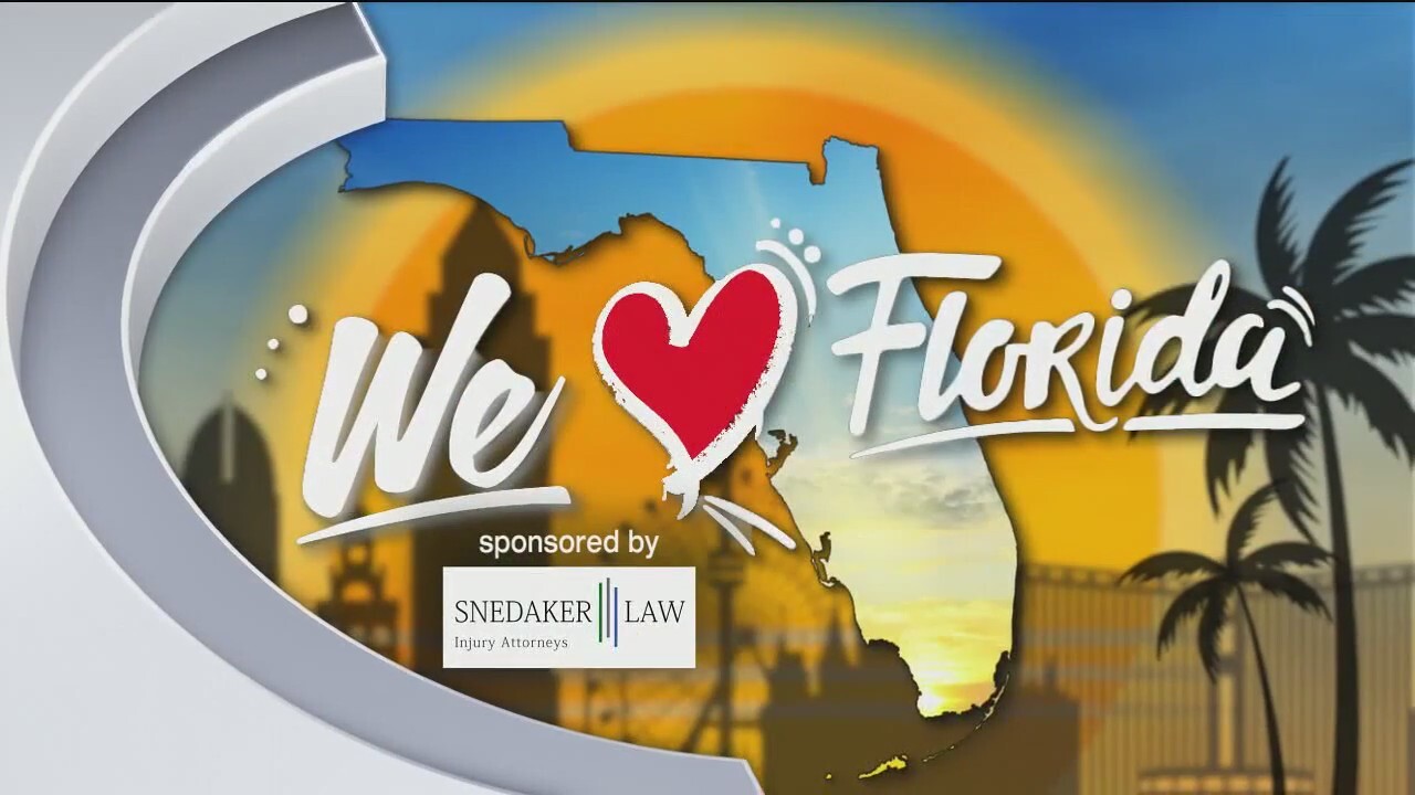 Cuddle with cattle at Cow Creek Farm