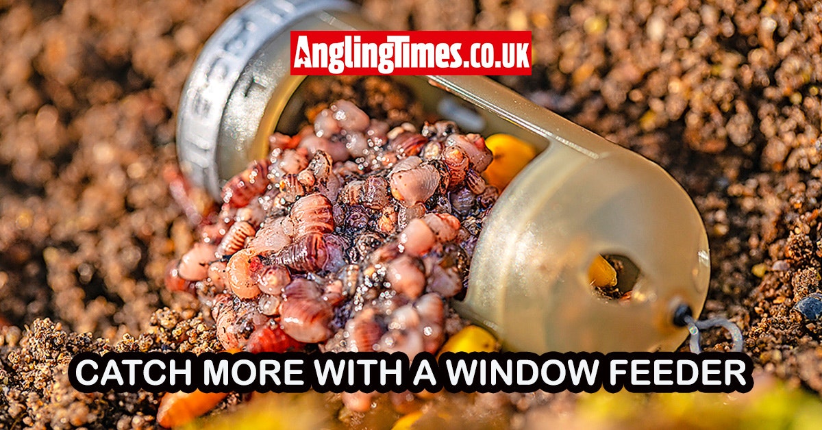 How and when to use window feeders