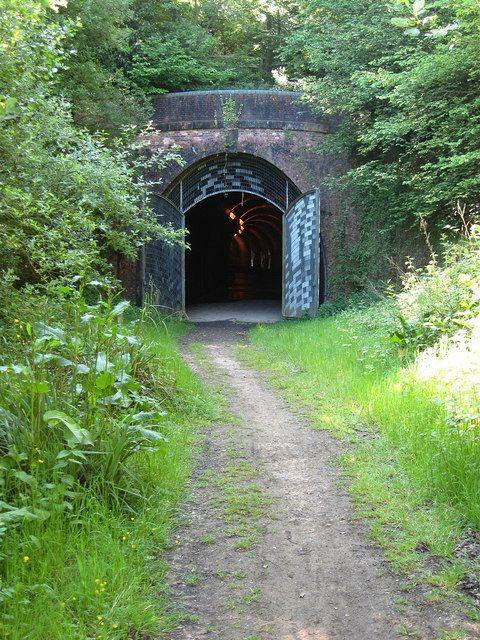 Cuckoo Line tunnel to open at Heathfield this summer for gala