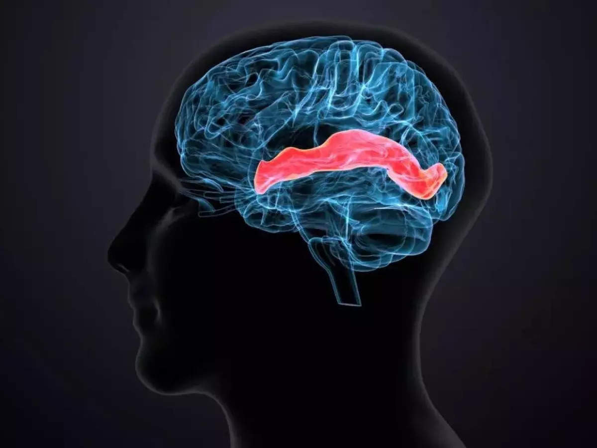 Want a razor-sharp memory? This neuro expert shares one simple food ...