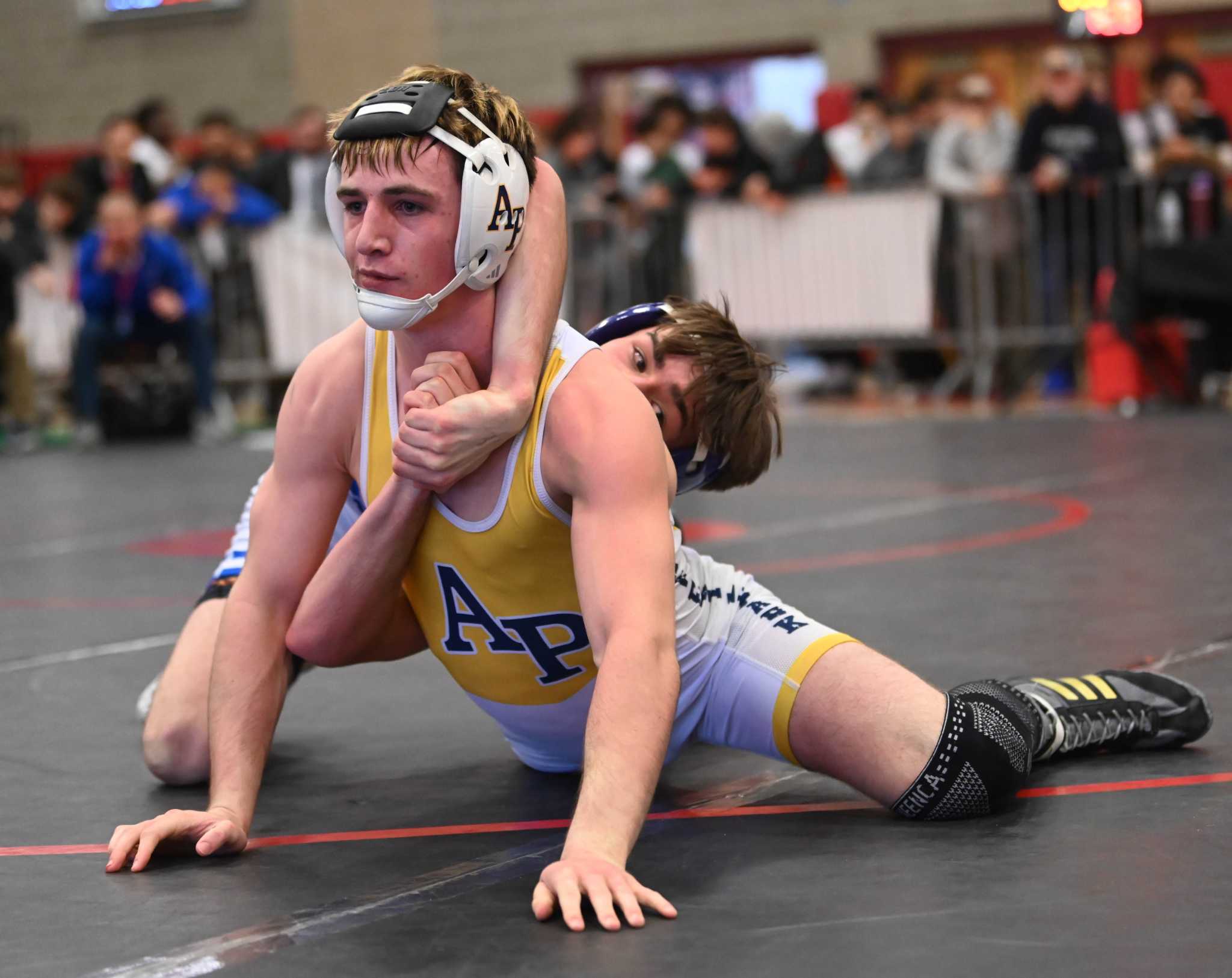 Averill Park's Hanlon looks to cap scholastic wrestling career in style