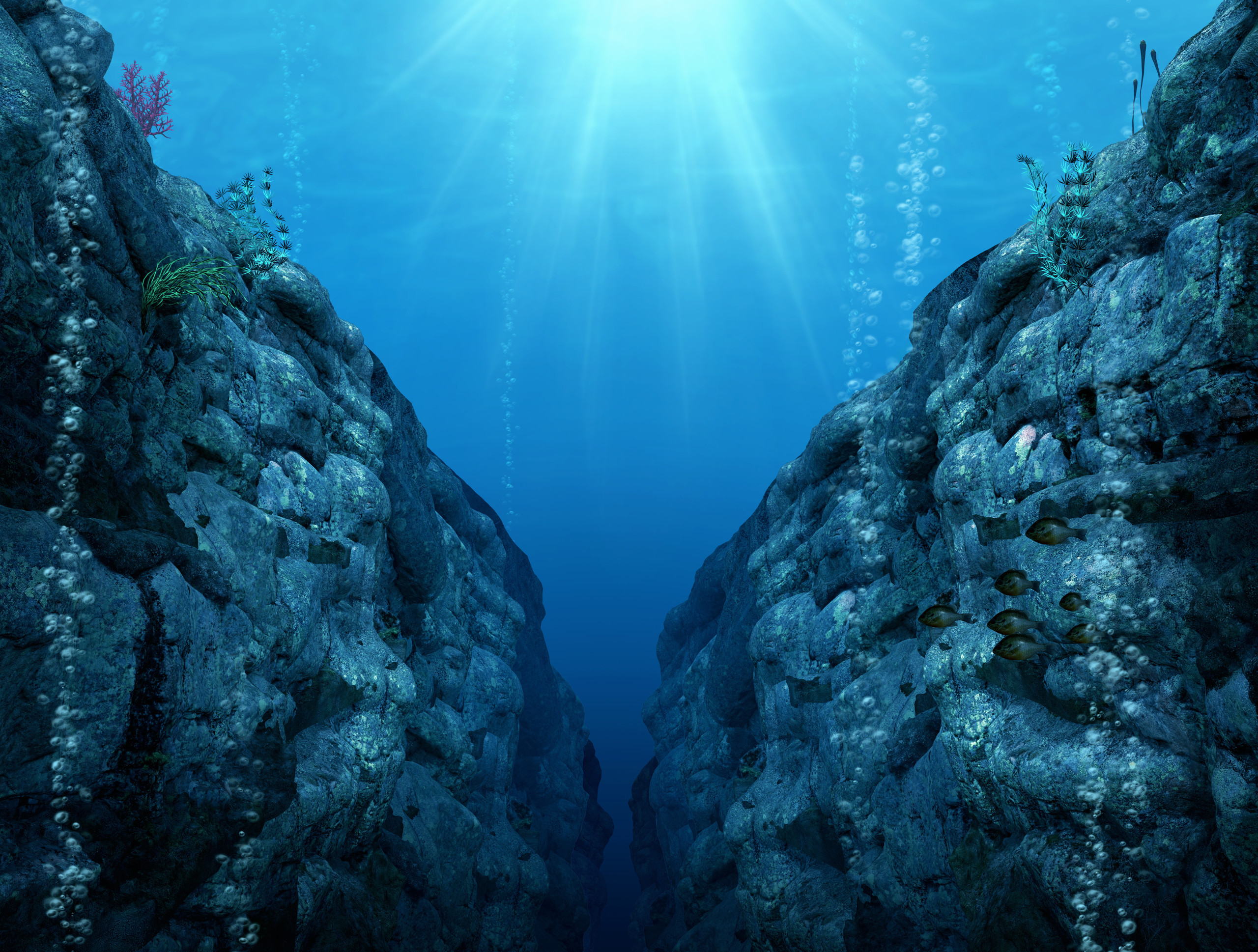 What do you know about the deepest point on Earth?