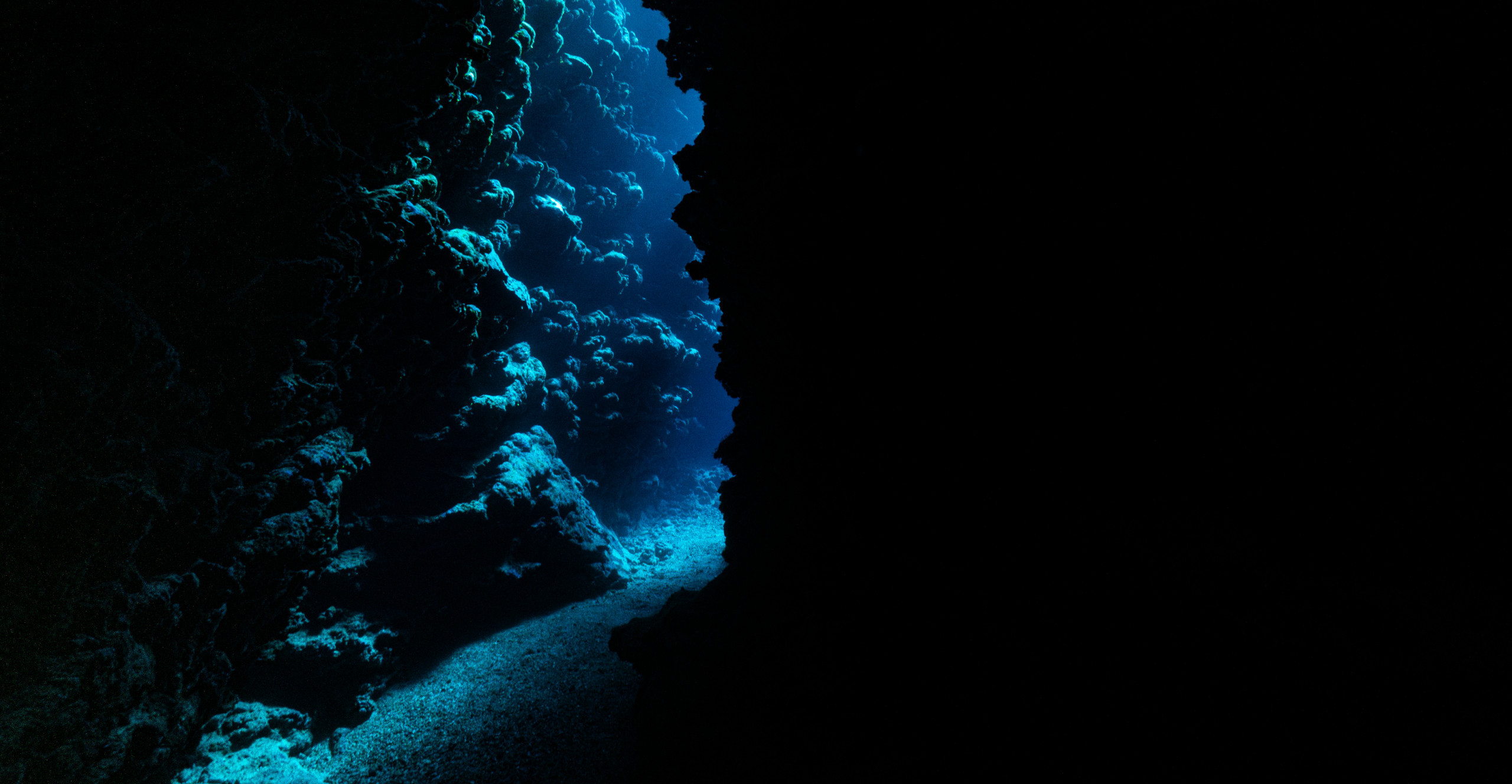 What do you know about the deepest point on Earth?