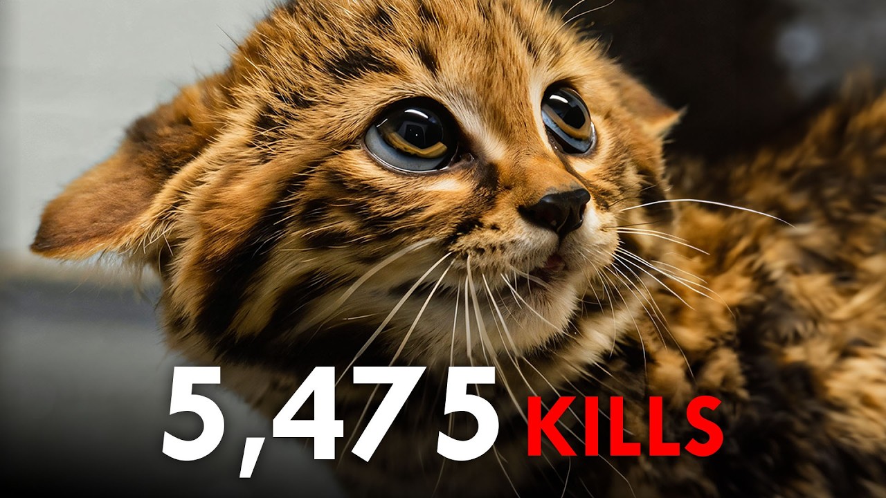 Cute but Lethal: The 10 Deadliest Small Cats