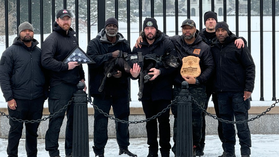 K9 Hurricane, the most decorated dog in US history, has died