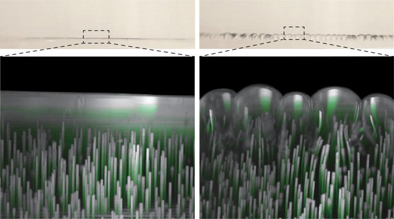 Study unveils new extrusion-induced instabilities in viscoelastic materials