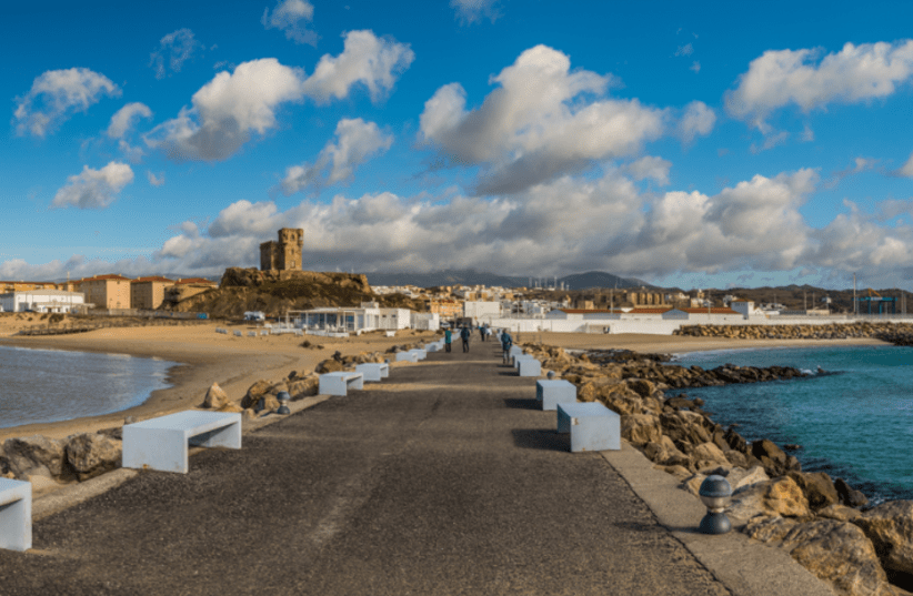 778,000-year-old animal tracks found on Isla de las Palomas