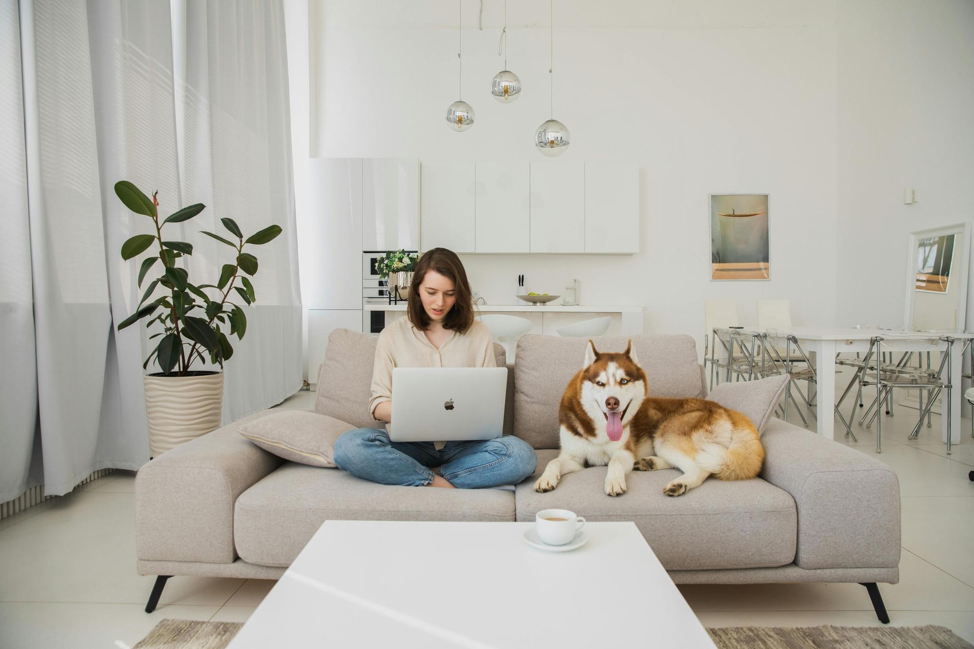 Pet-iquette: top tips for harmonious apartment living with pets