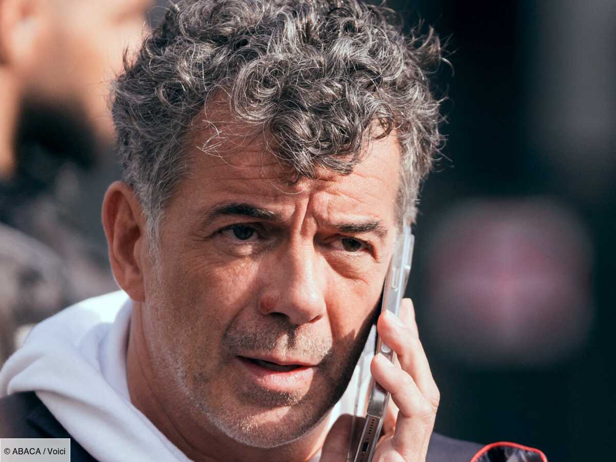 Stéphane Plaza relaxé pour des faits de violences psychologiques : son ...